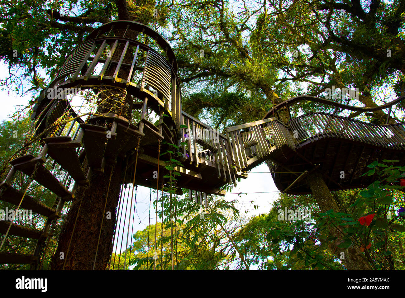 Recreational Wooden Tree House with Ropes Stock Photo - Alamy