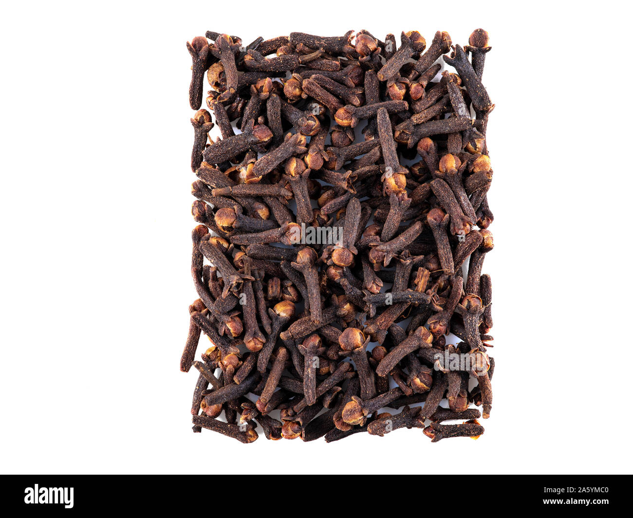 Clove isolated on white background with copy space for text or images ...
