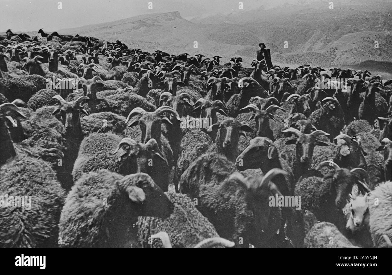 Collective farm russia hi-res stock photography and images - Alamy