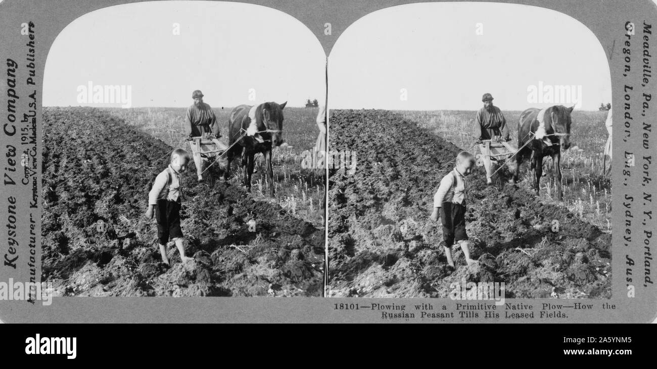 Ploughing with a primitive native plough or how. A Russian peasant ...