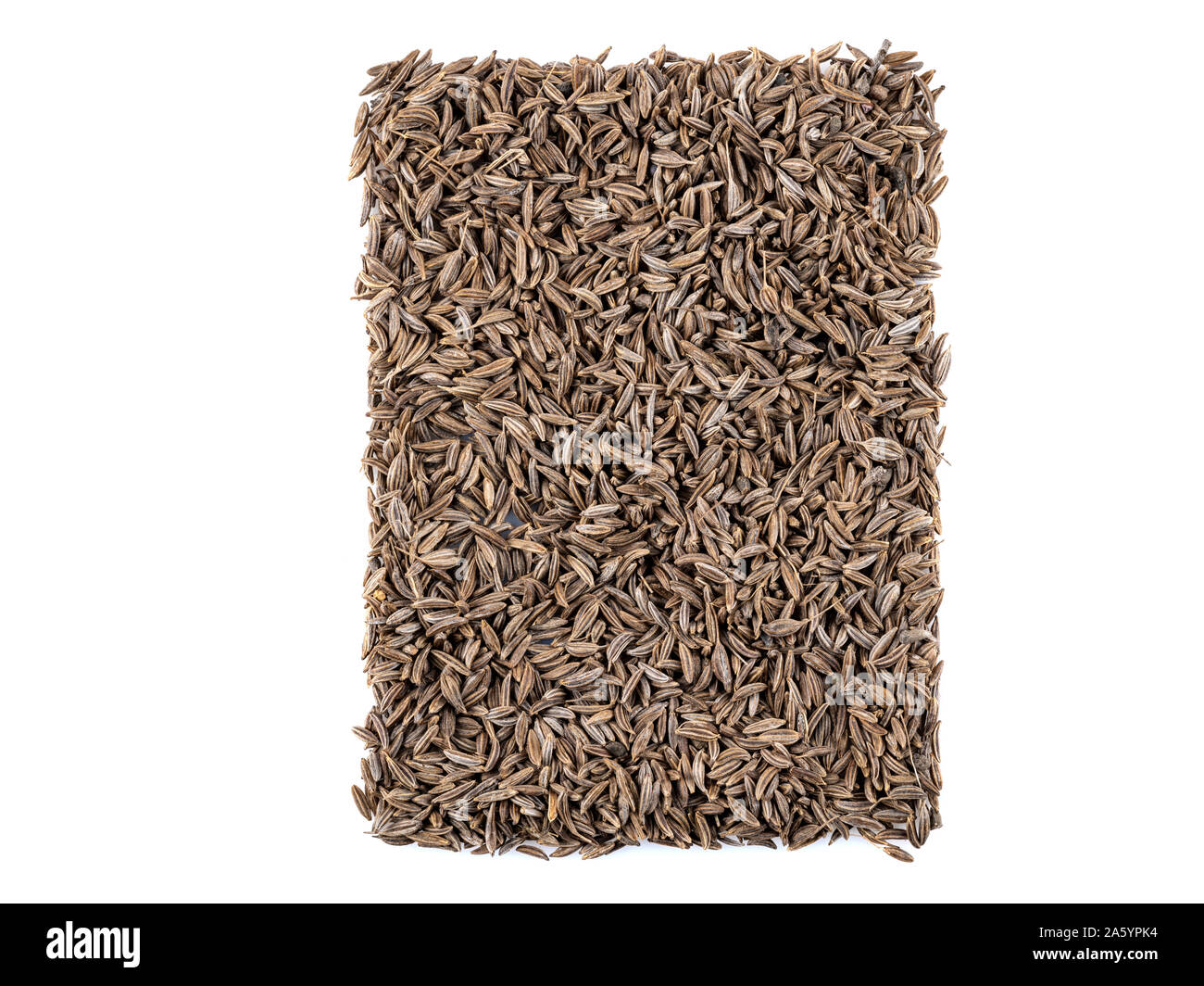 Zira or cumin isolated on white background with copy space for text or ...
