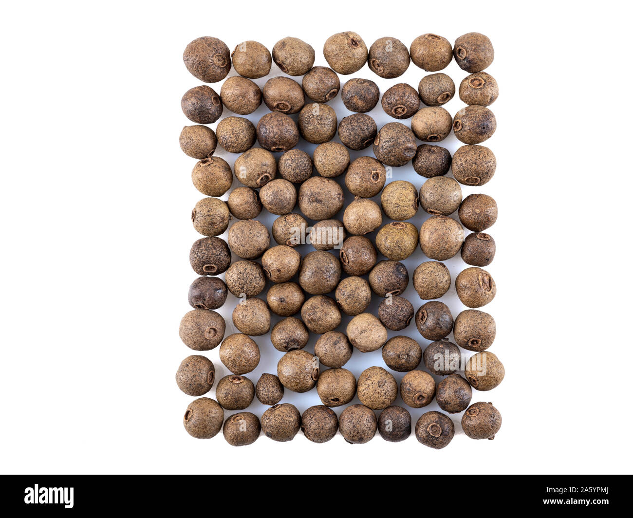 Allspice isolated on white background with copy space for text or ...