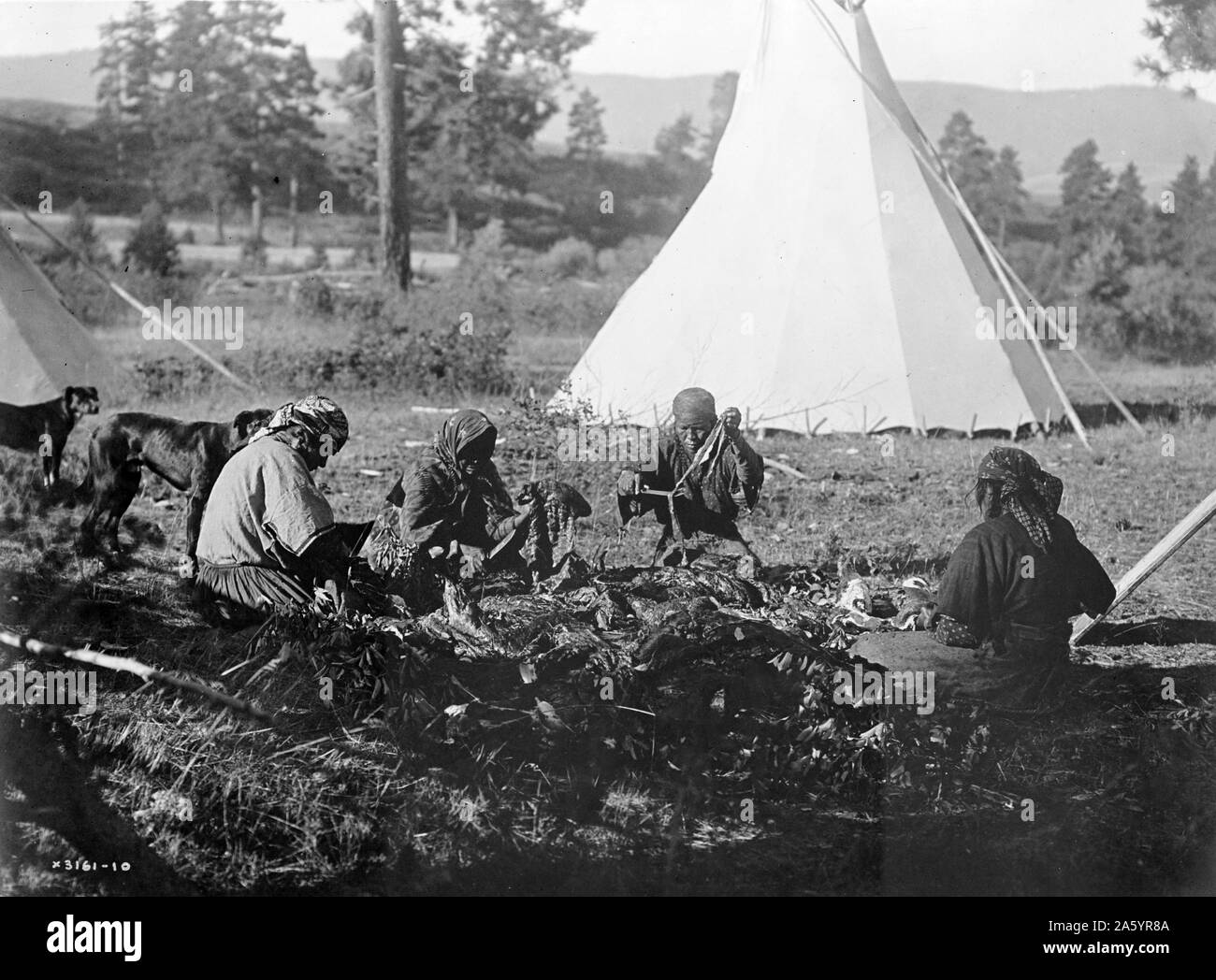 Salish woman Black and White Stock Photos & Images - Alamy