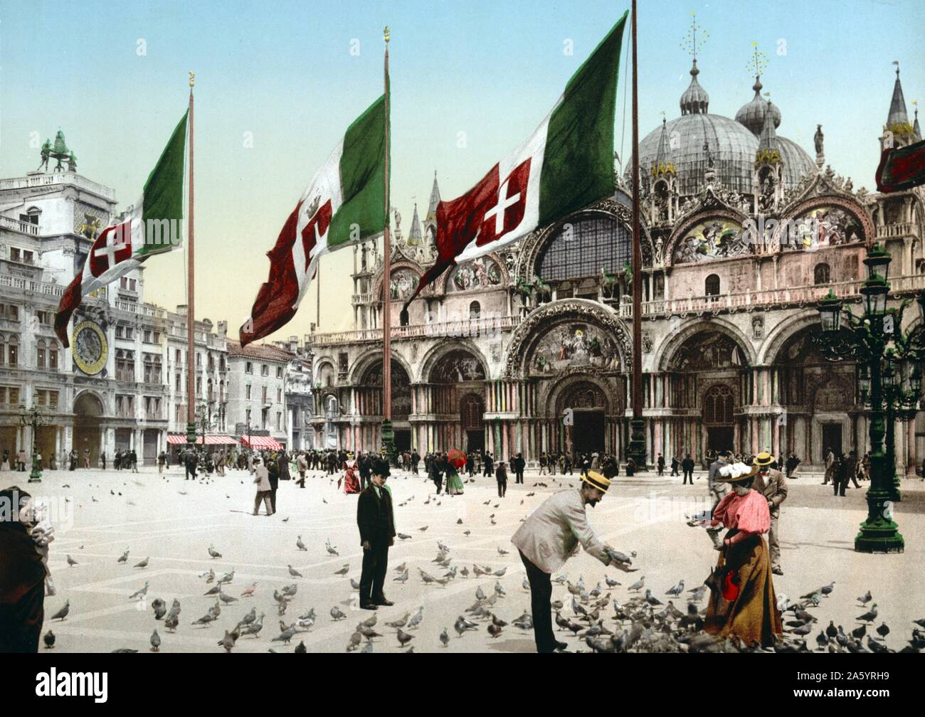 St marks square birds hi-res stock photography and images - Alamy