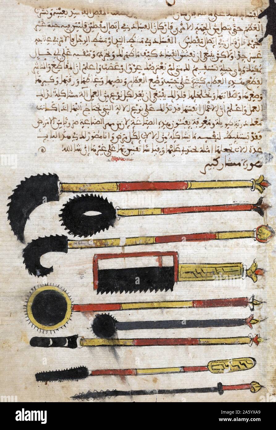 Islamic Medicine Herbs