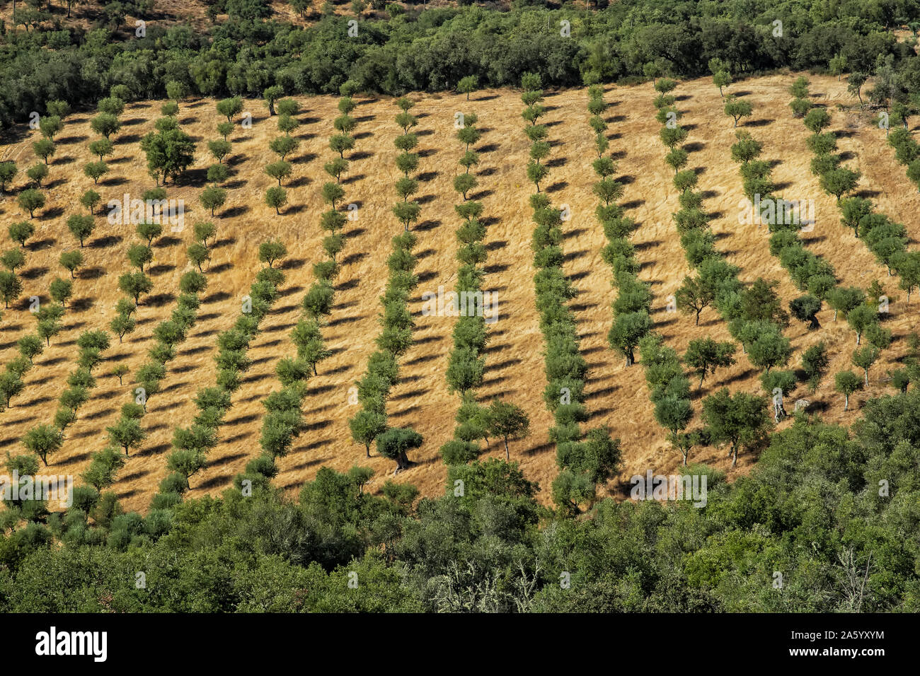Farm from douro hi-res stock photography and images - Alamy