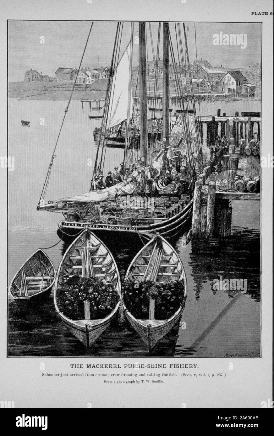 Smillie hi-res stock photography and images - Alamy