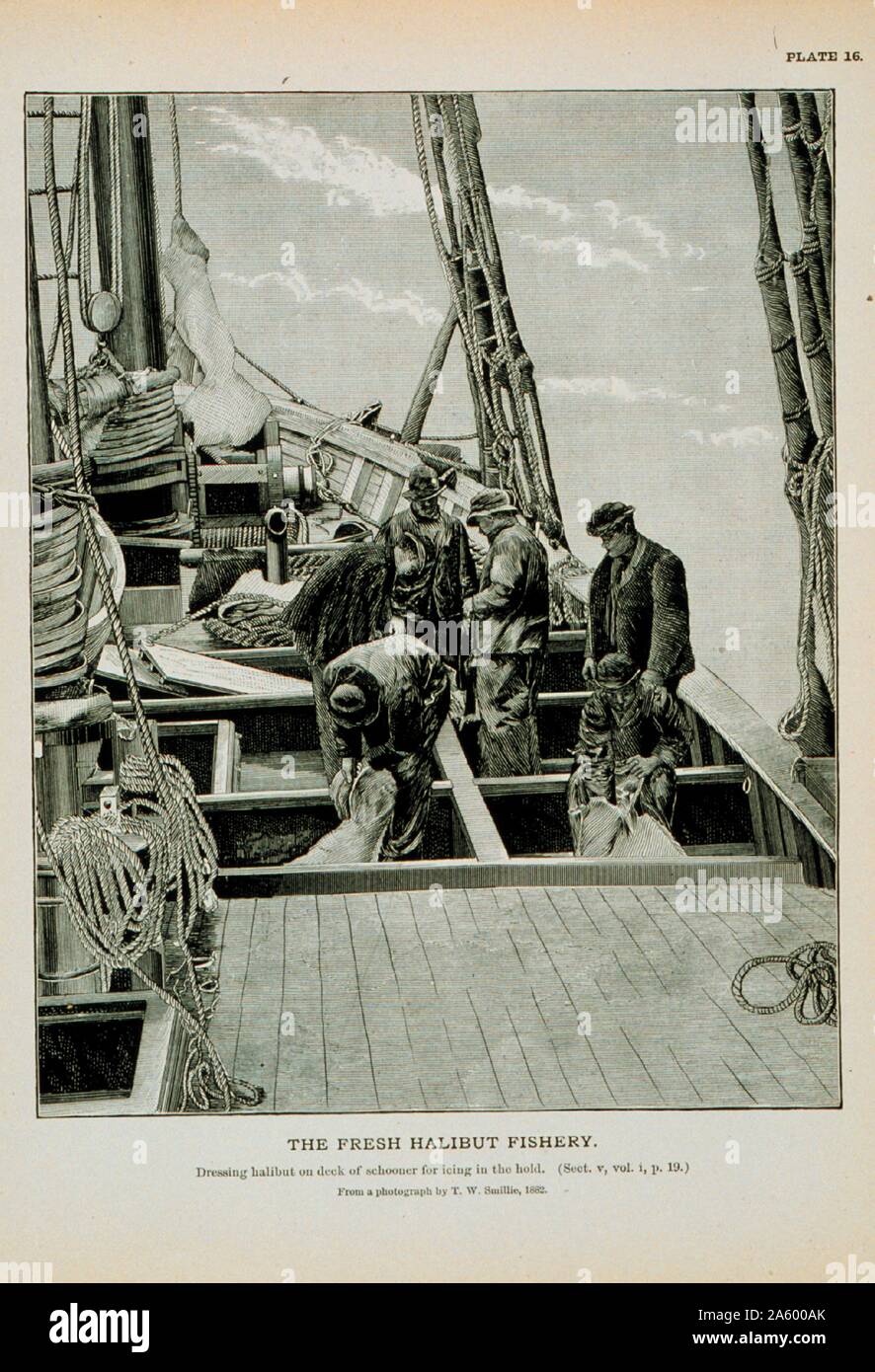 Icing ship hi-res stock photography and images - Alamy