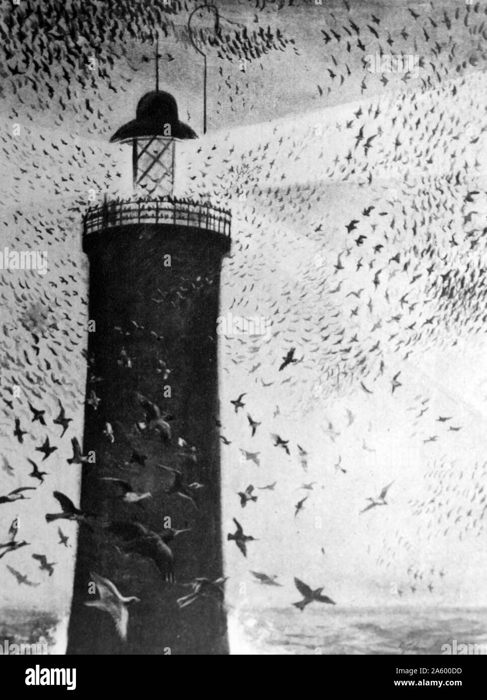 Illustration of birds circling a lighthouse at dusk 1930 Stock Photo ...