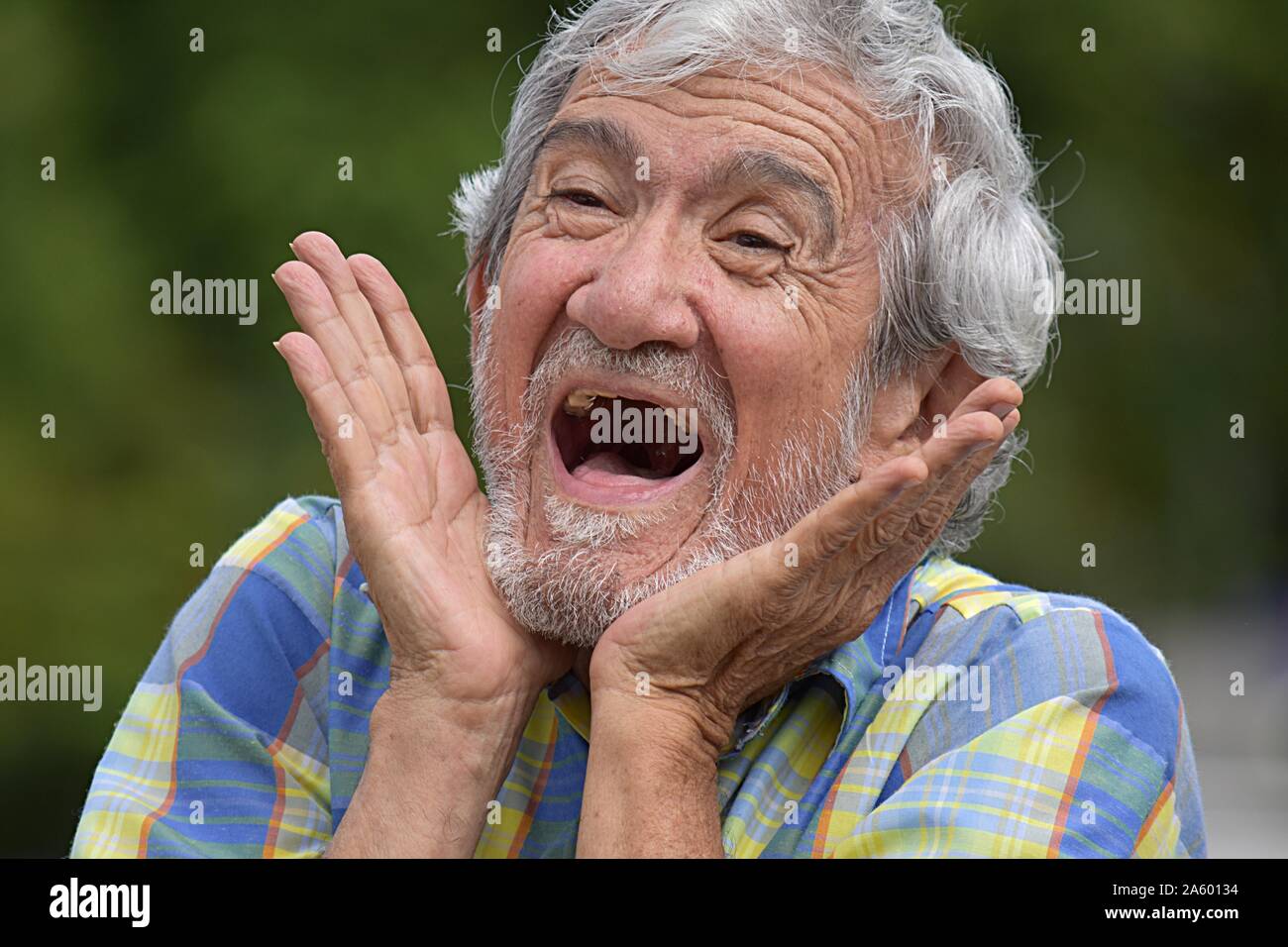 Happy Male Grandfather Stock Photo - Alamy
