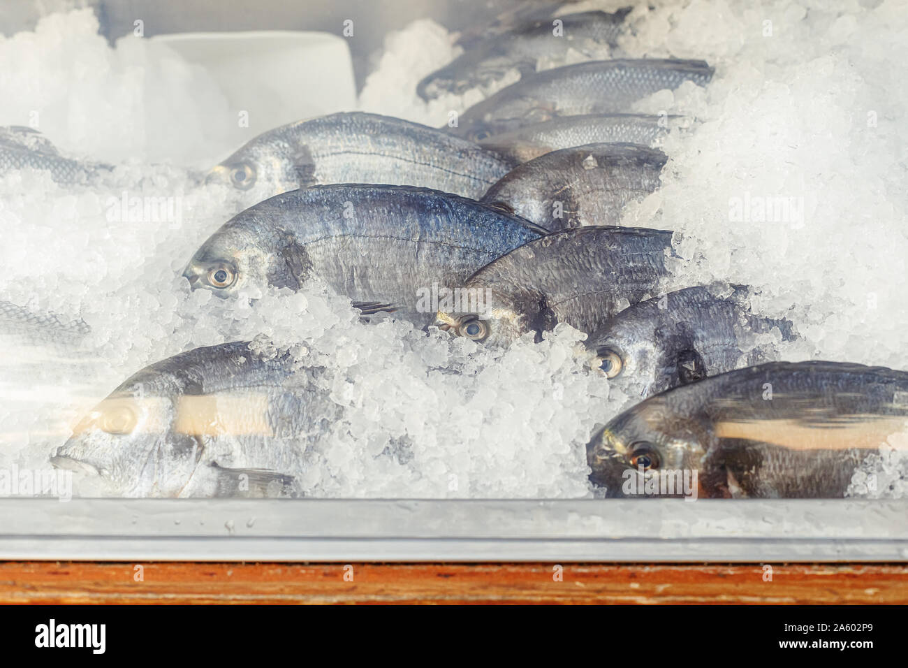 Fresh raw fish in fridge of supermarket or restaurant in ice. Seafood ...