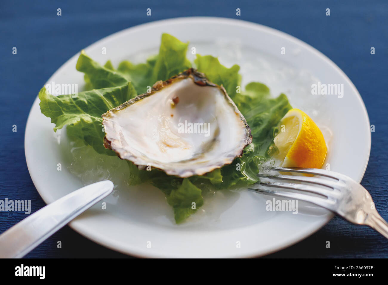 Finished oyster, empty shell on plate with lemon and green lettuce ...