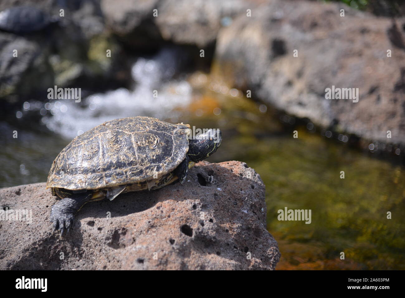 The commons at calabasas hi-res stock photography and images - Alamy