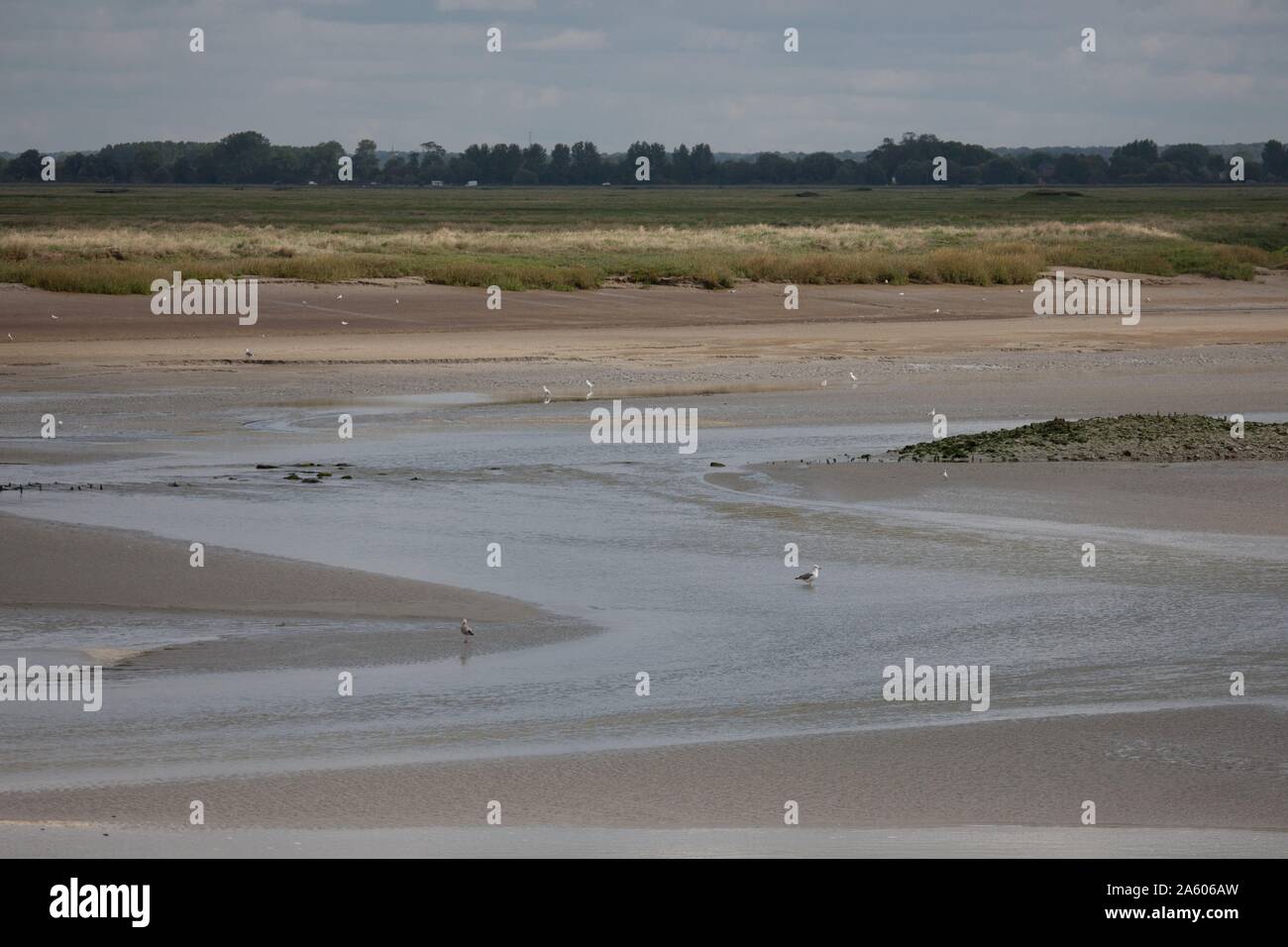 France, Somme, Baie de Somme, Saint Valery sur Somme, entrance of the ...