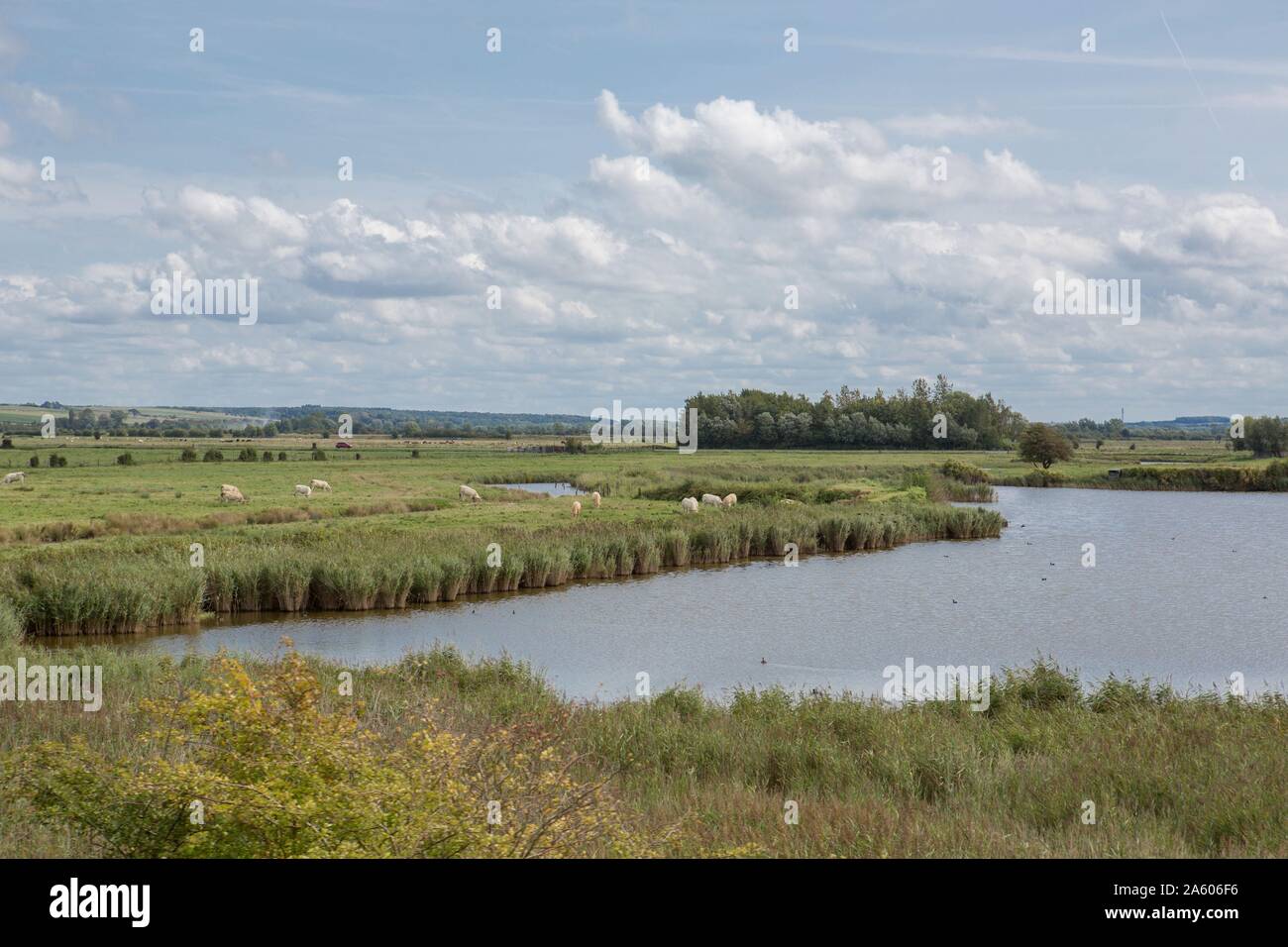France, Baie de Somme, Somme, scenic railway of the Baie de Somme ...
