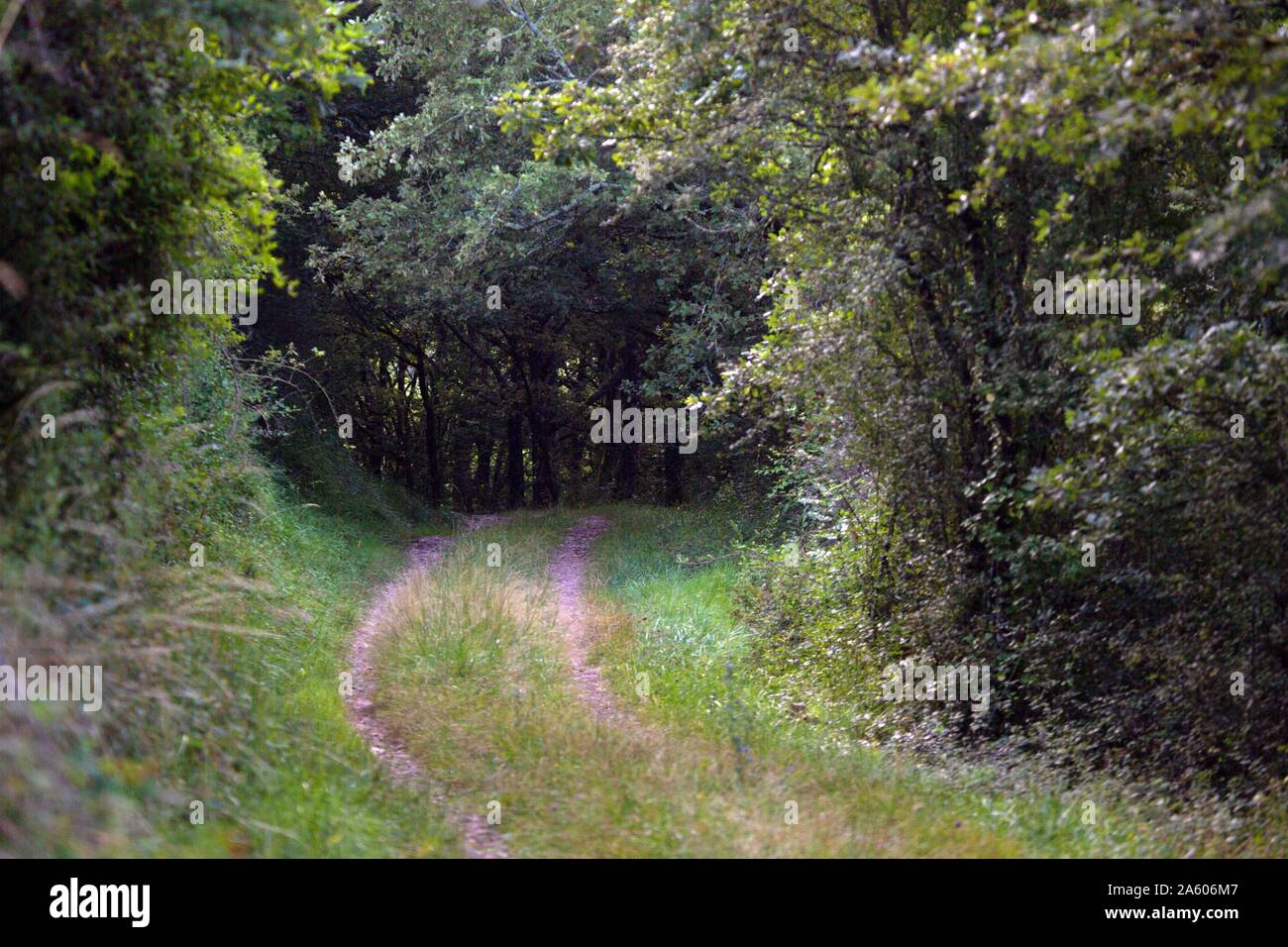 France, Parc des Grands Causses, Gorges du Tarn, Brousse le Château ...
