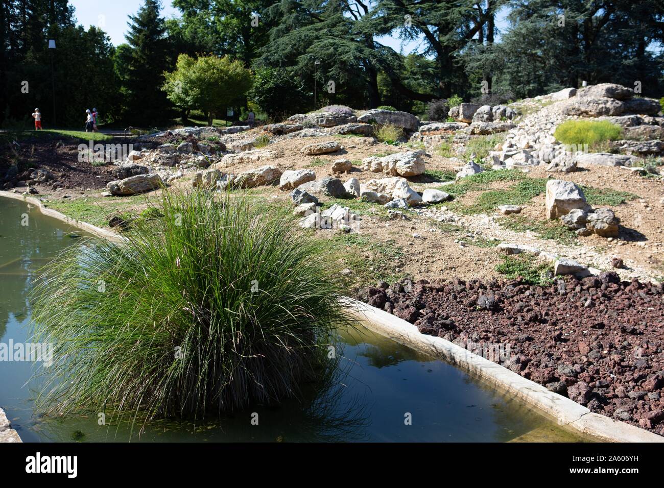 France, Rhône, Lyon, Parc de la Tête d'Or, animals Stock Photo - Alamy