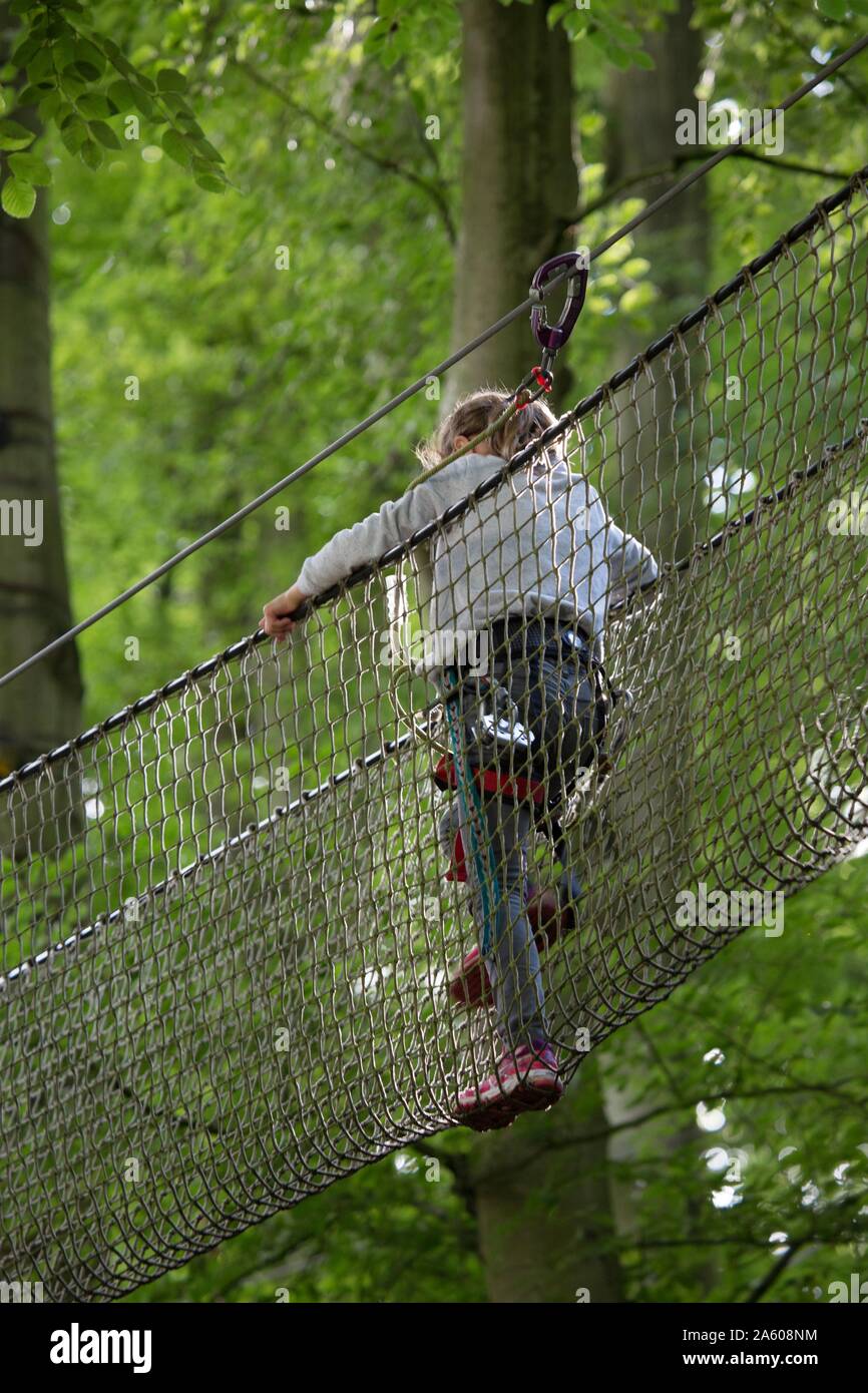 High tree treetop hi-res stock photography and images - Alamy