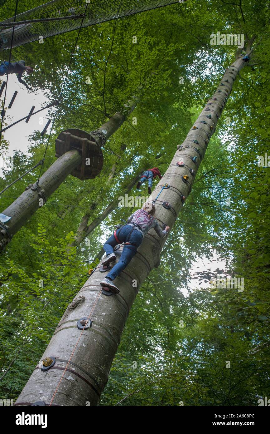 Denestanville hi-res stock photography and images - Alamy