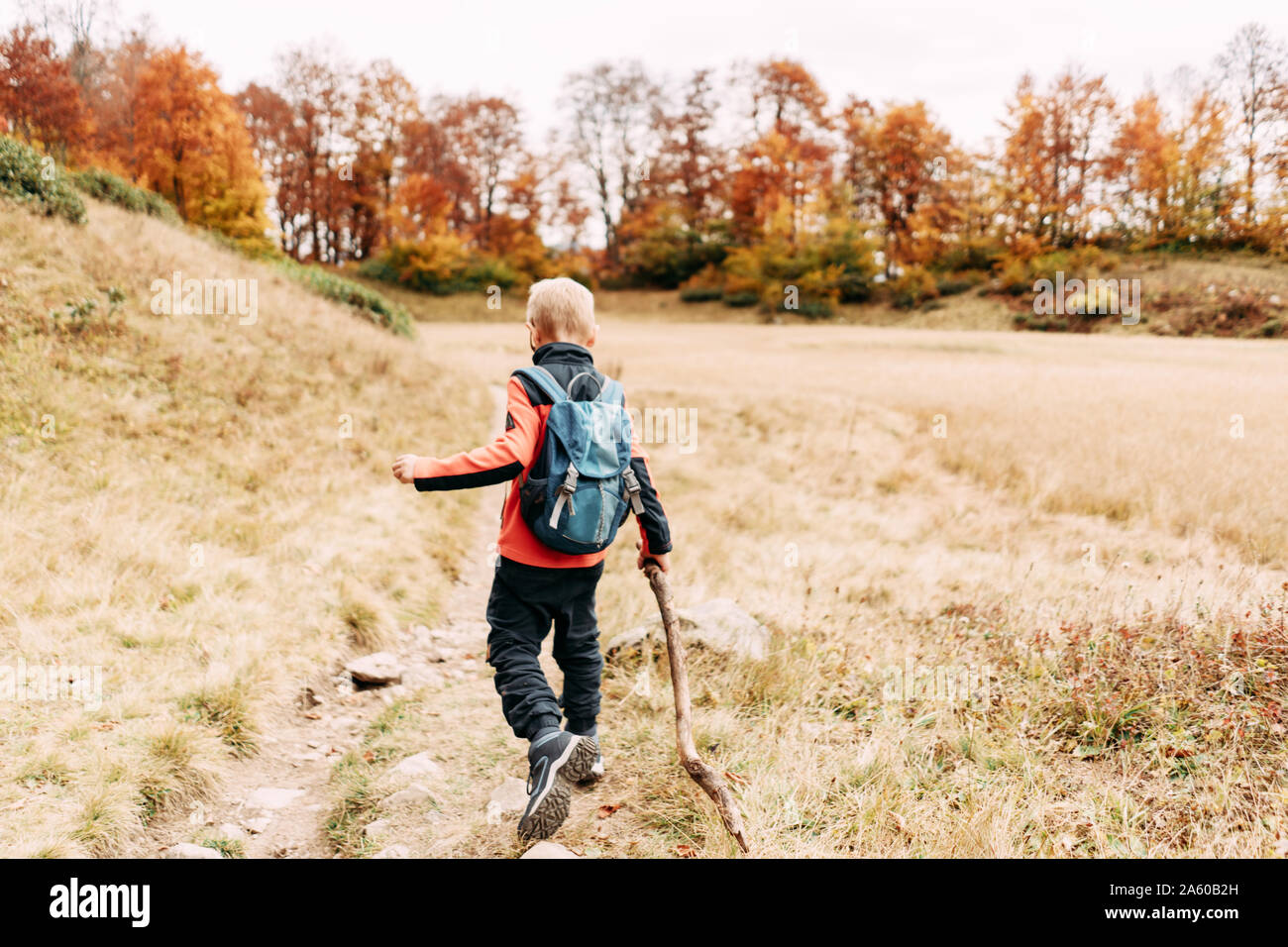 Backpack hike trail child boy hi-res stock photography and images - Alamy
