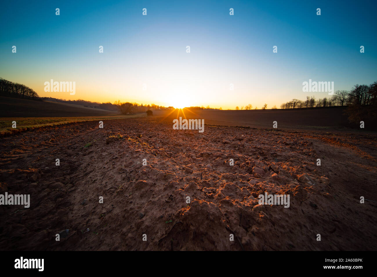 Early morning sunrise field panorama Stock Photo - Alamy
