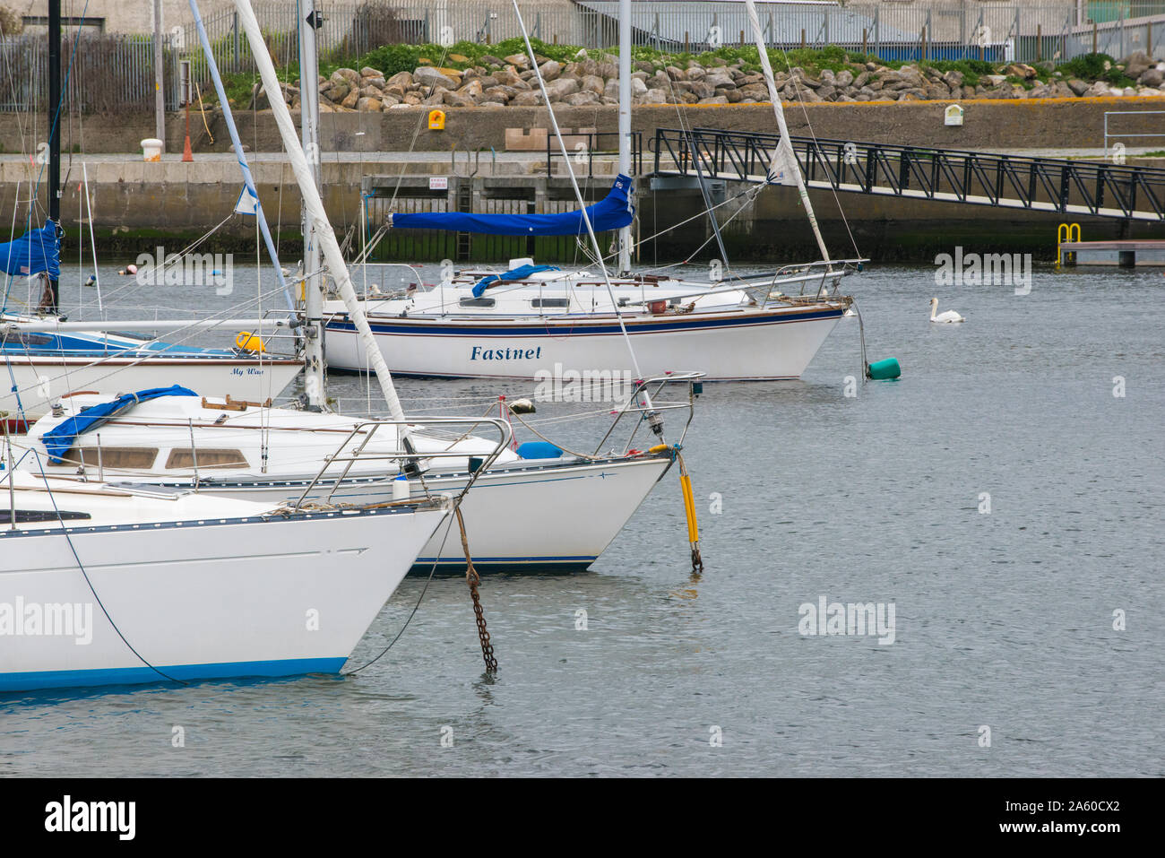 Sailboats in marina at Bray, Ireland Stock Photo - Alamy
