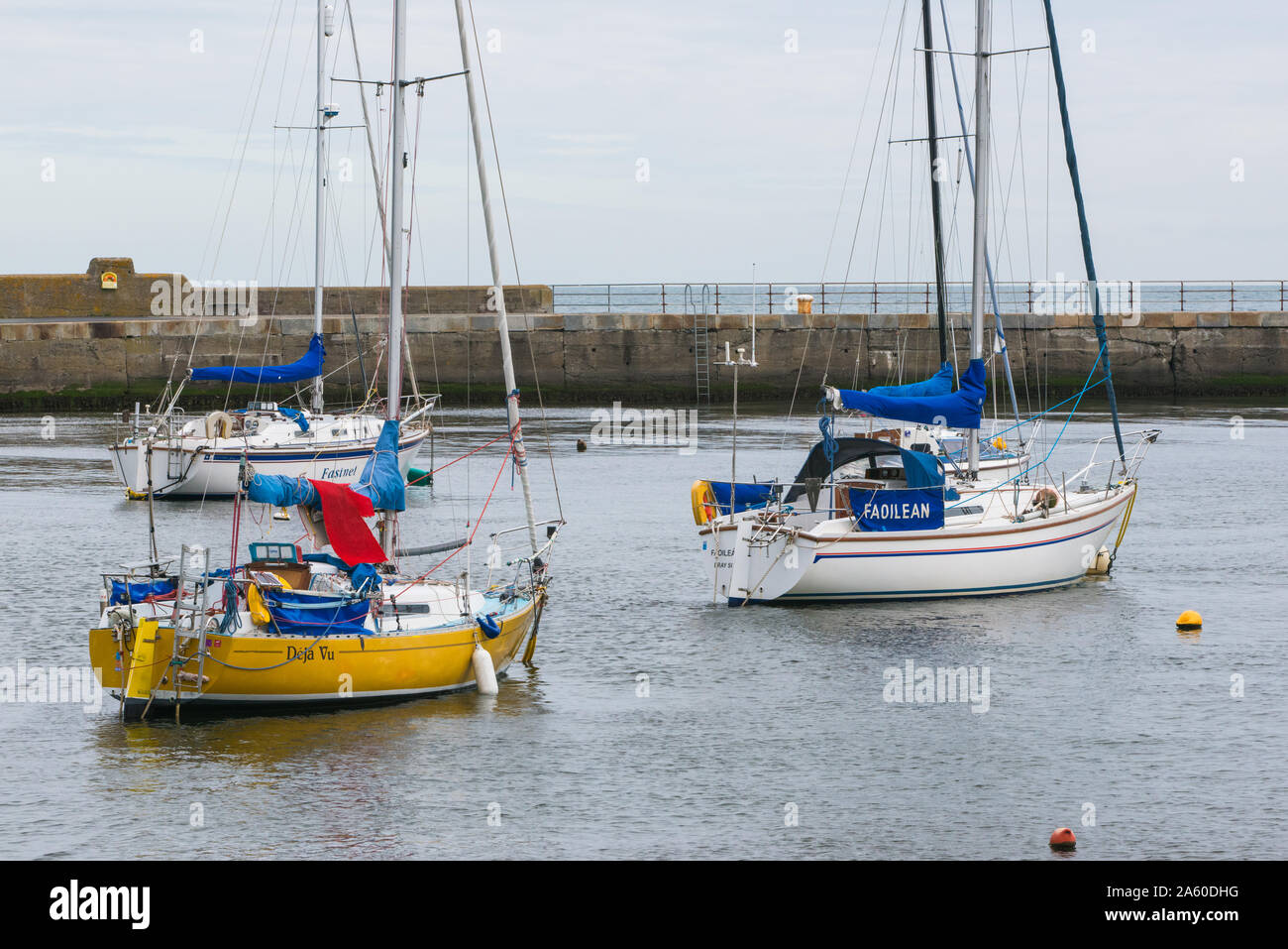 Sailboats in marina at Bray, Ireland Stock Photo - Alamy