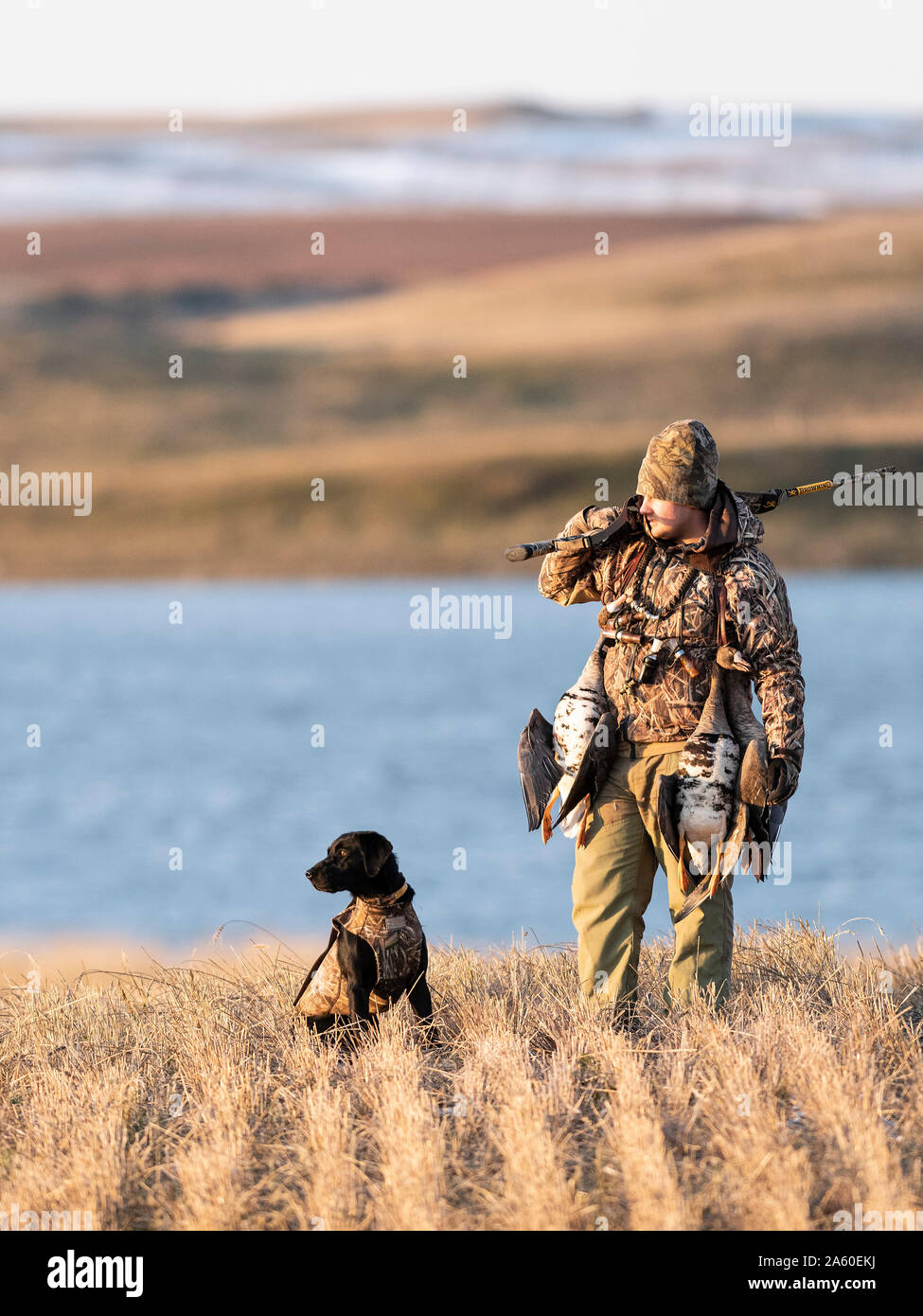 A Young Goose hunter with his Black Labrador Retriever Stock Photo - Alamy