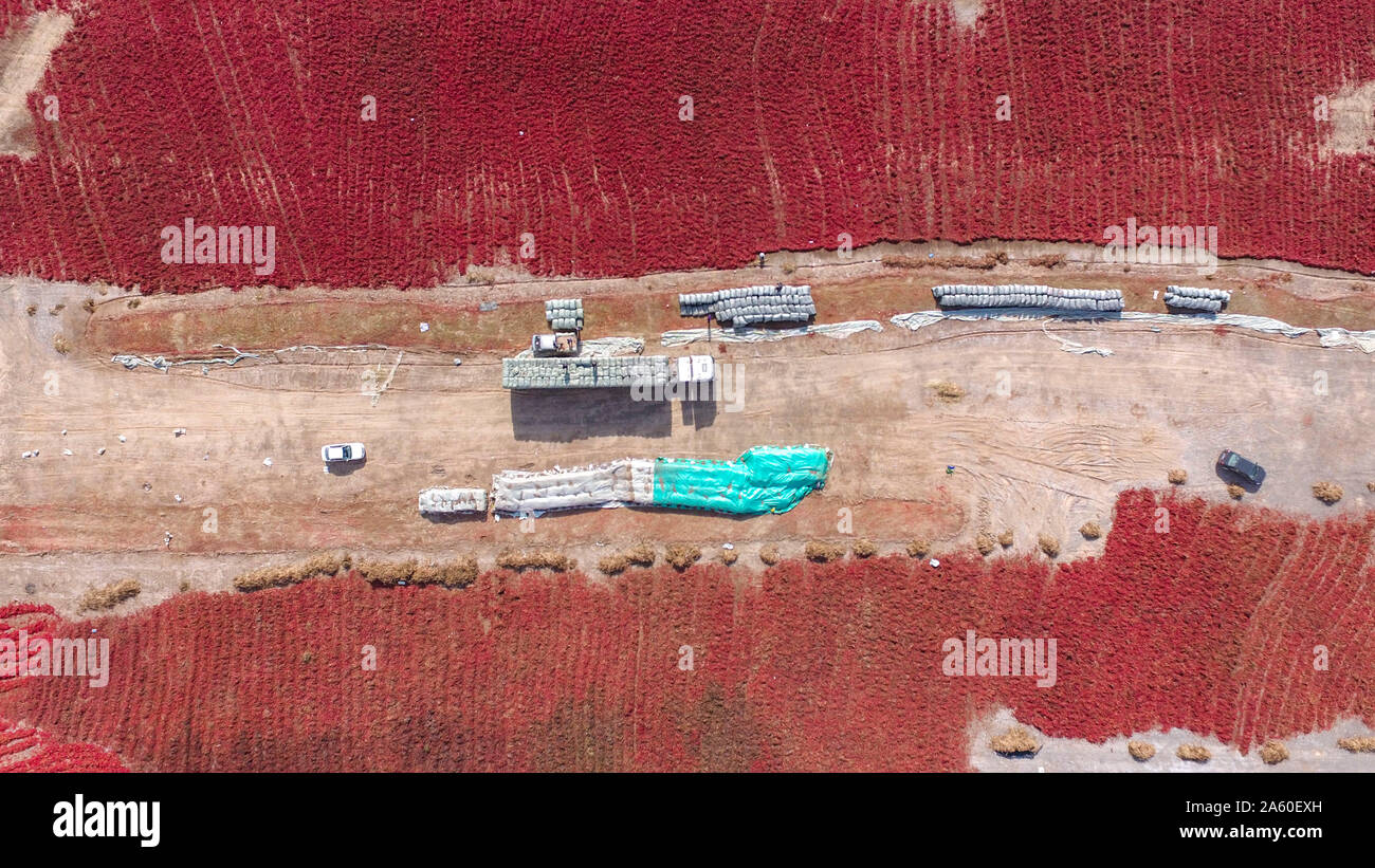 Kuqa hi-res stock photography and images - Alamy