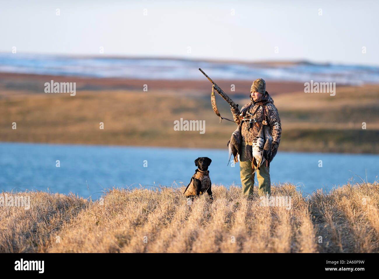 A Young Goose hunter with his Black Labrador Retriever Stock Photo - Alamy