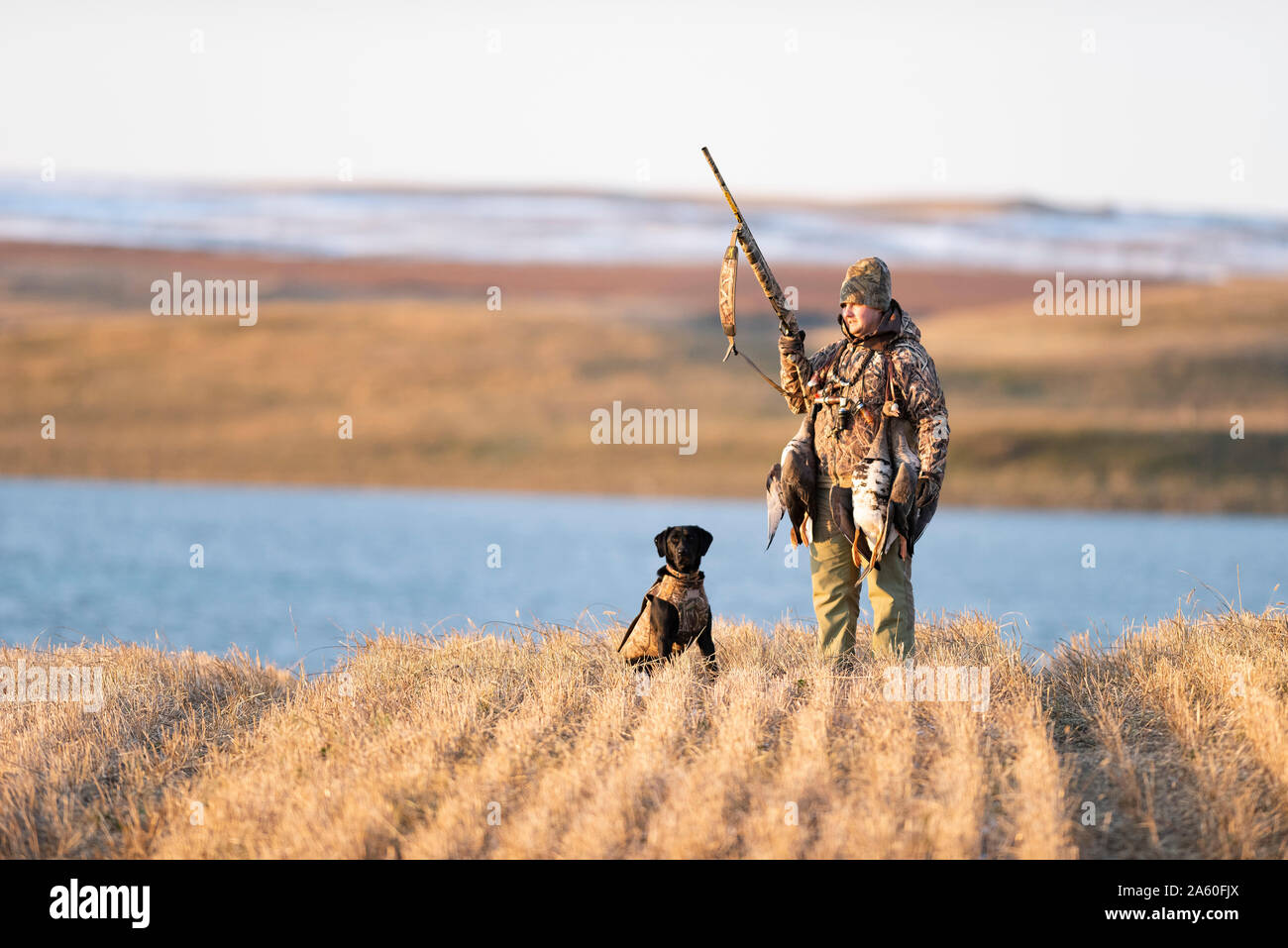A Young Goose hunter with his Black Labrador Retriever Stock Photo - Alamy