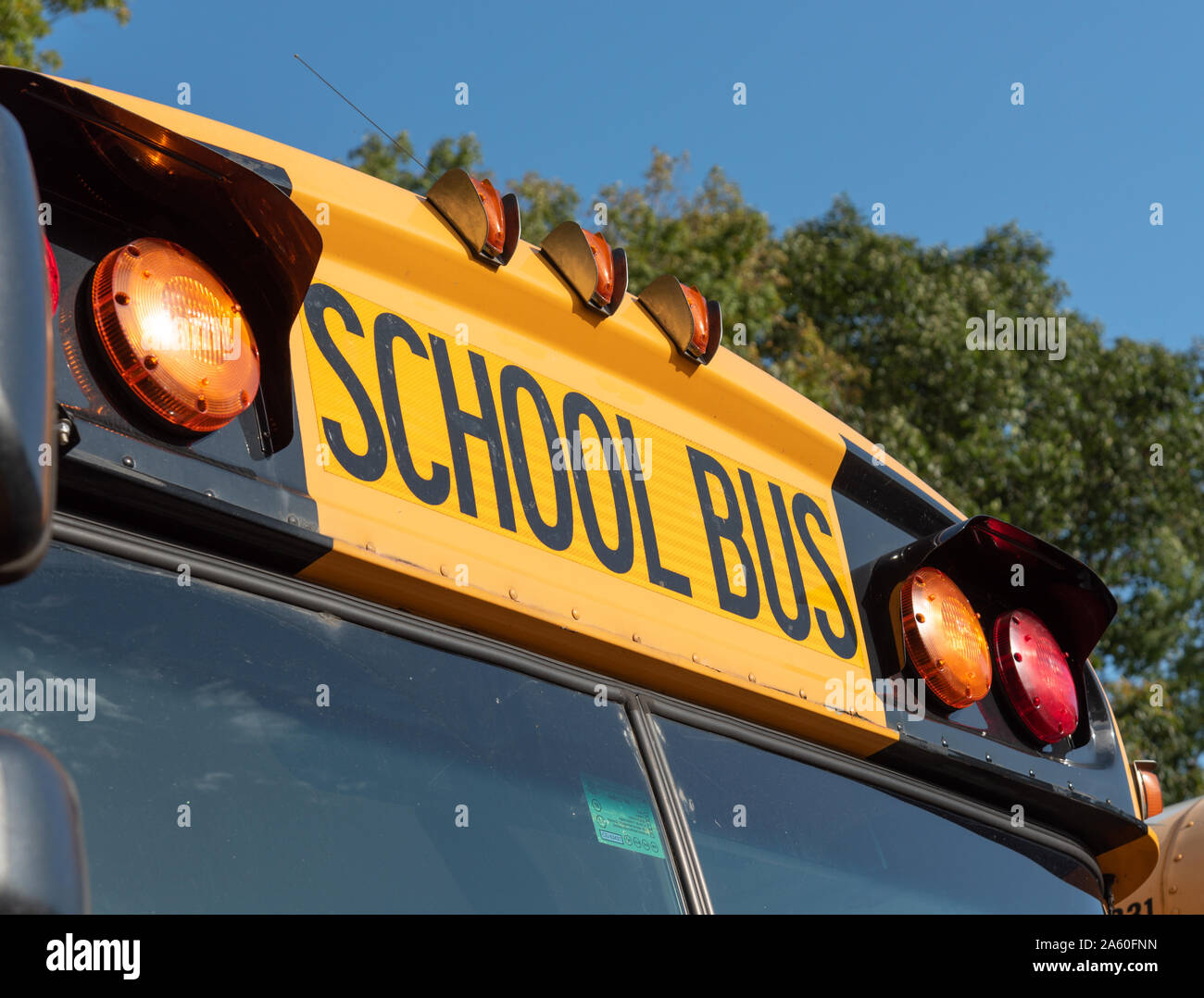 Classic American yellow school buses america Stock Photo - Alamy