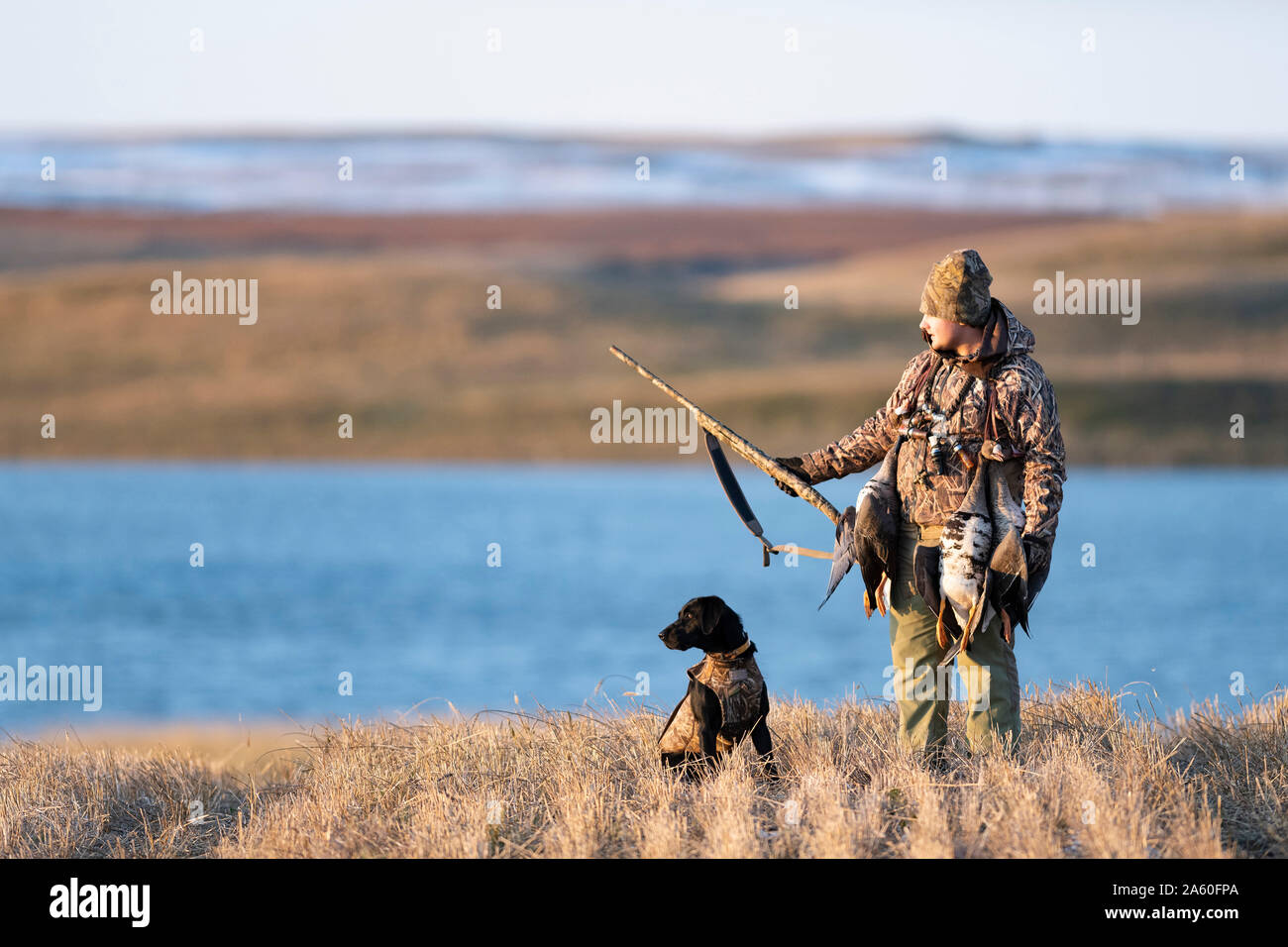 A Young Goose hunter with his Black Labrador Retriever Stock Photo - Alamy
