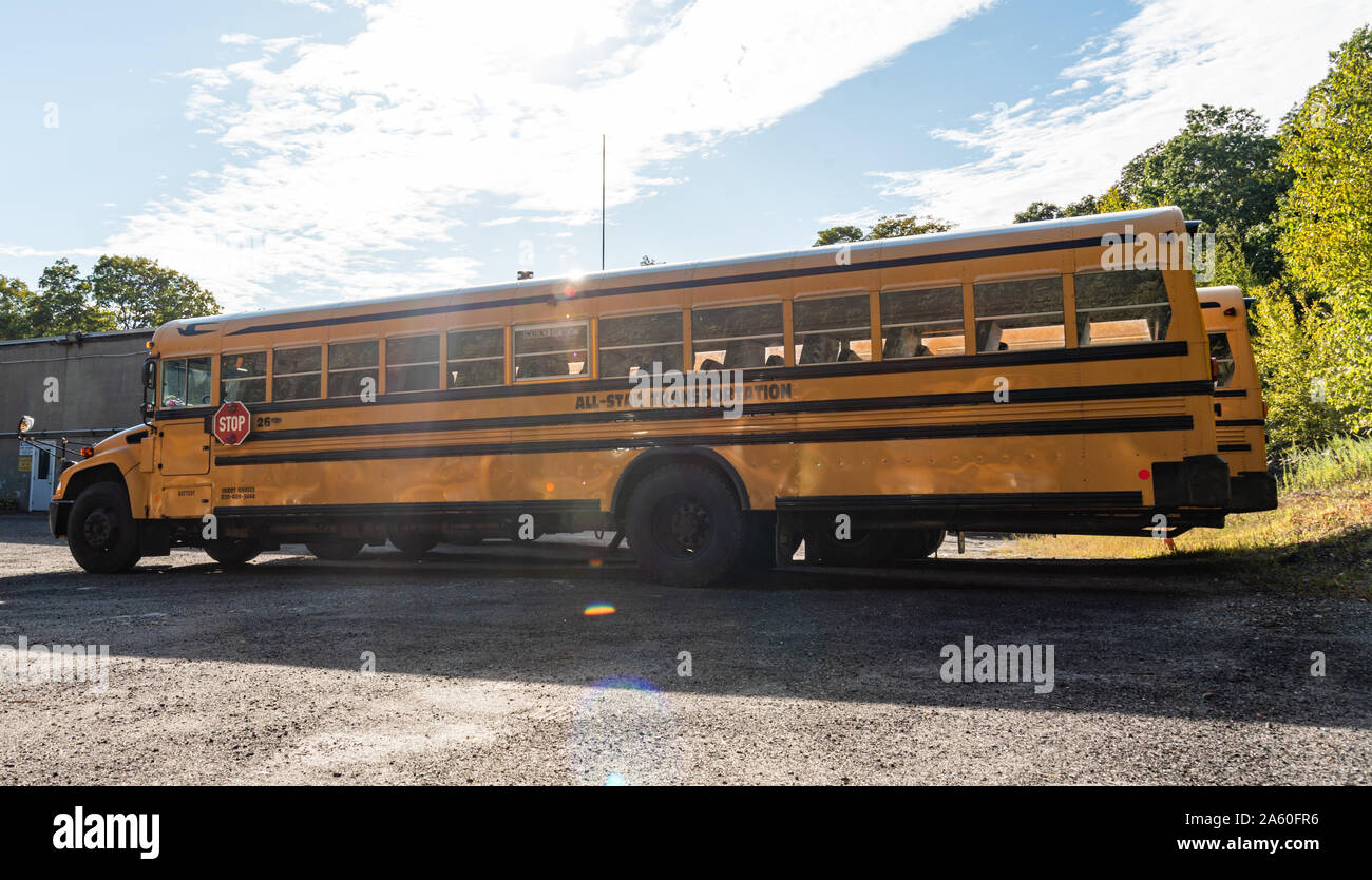 Classic American yellow school buses america Stock Photo - Alamy