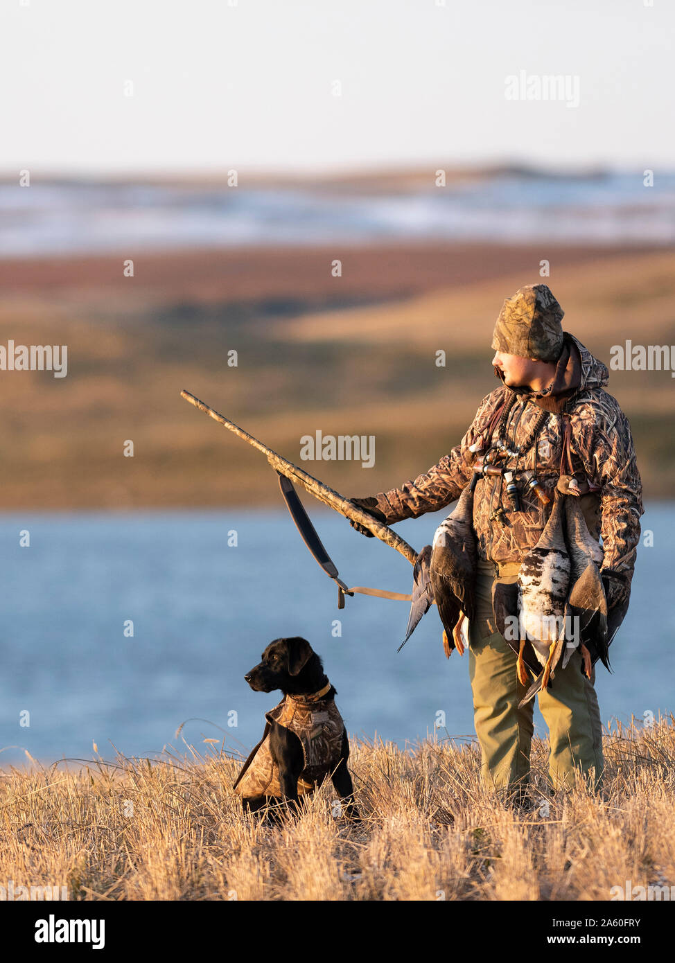 A Young Goose hunter with his Black Labrador Retriever Stock Photo - Alamy