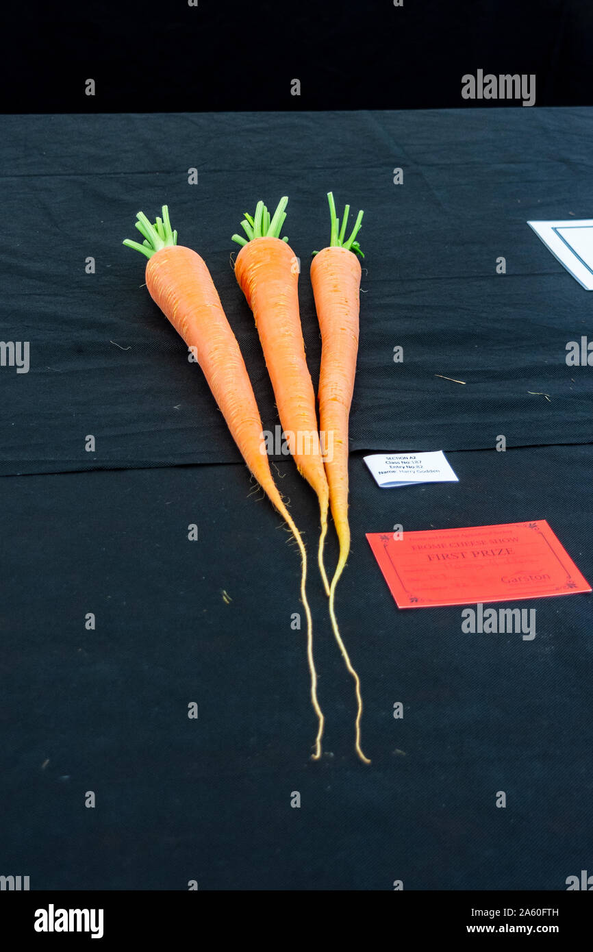 Vegetable growing competition hi-res stock photography and images - Alamy