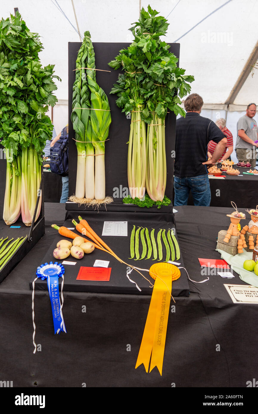 Vegetable exhibit display hi-res stock photography and images - Alamy