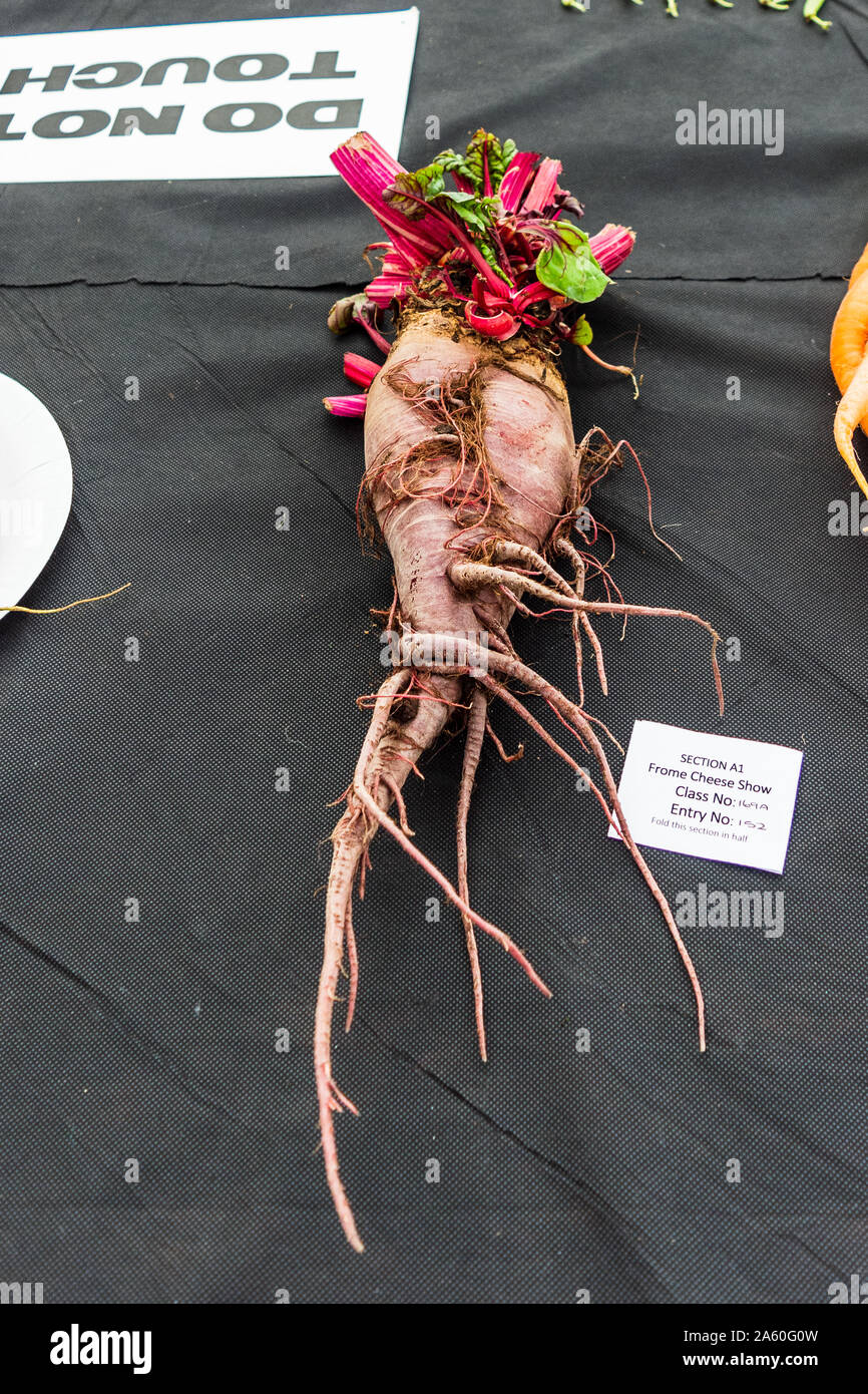 Mishape hi-res stock photography and images - Alamy