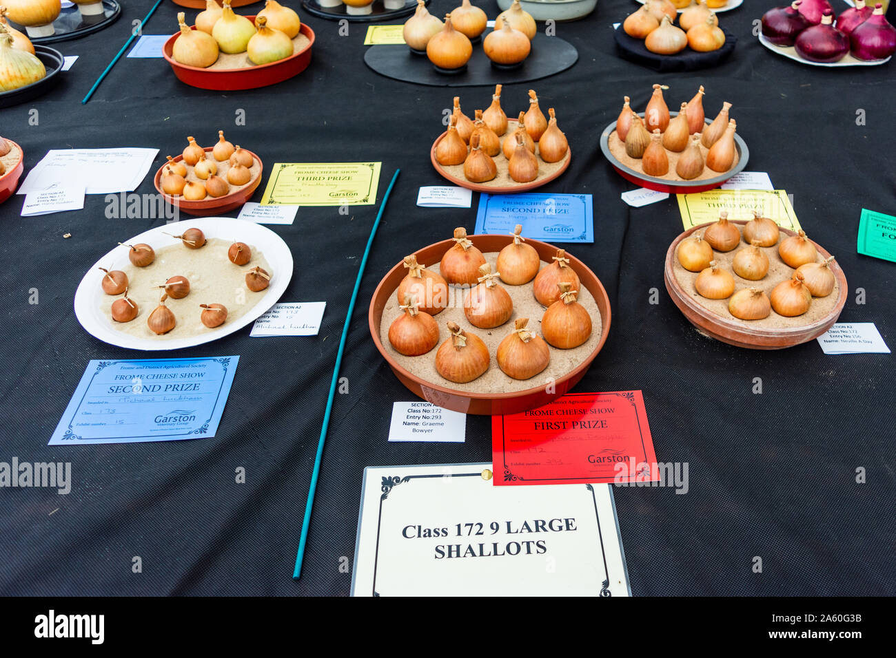 Entrant exhibits and prize certificates in various classes of onions ...