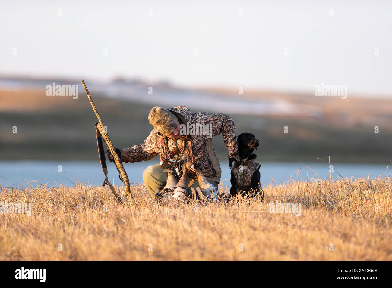 A Young Goose hunter with his Black Labrador Retriever Stock Photo - Alamy