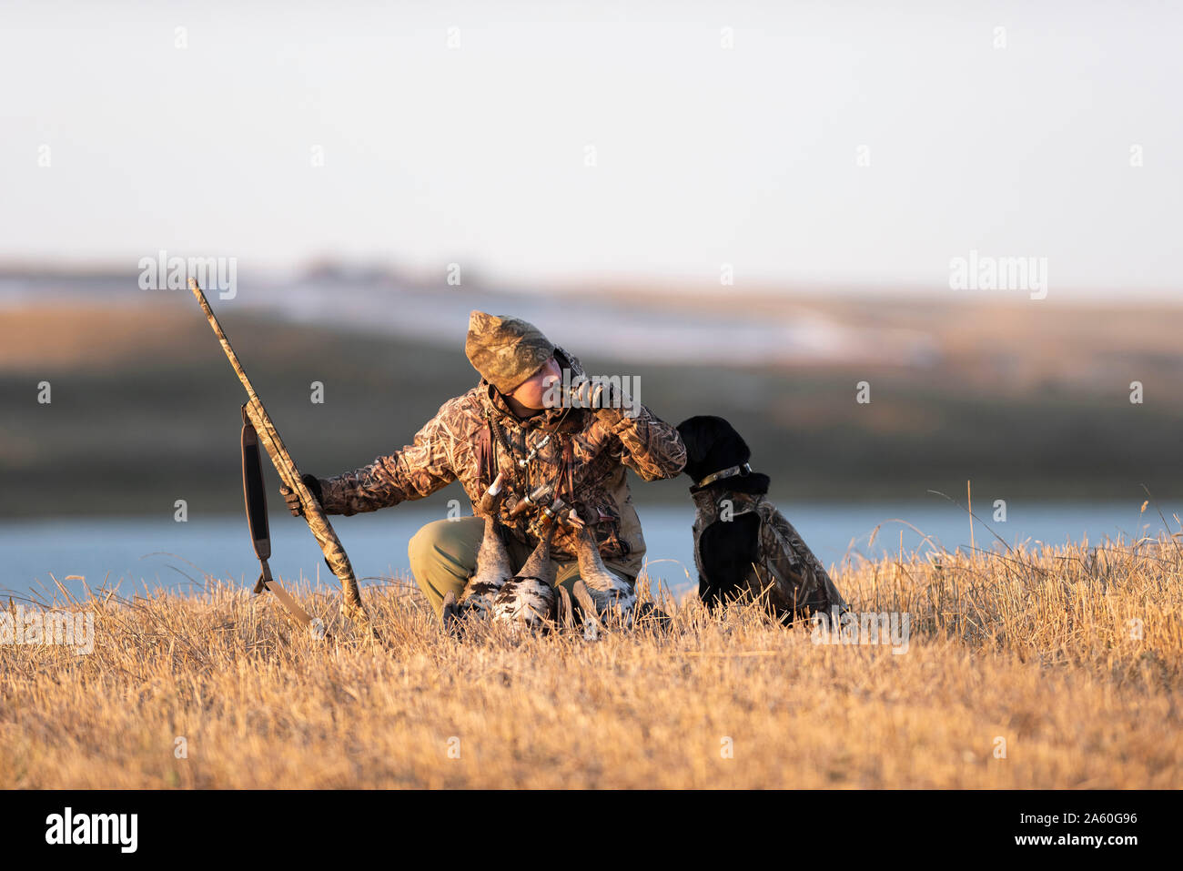 A Young Goose hunter with his Black Labrador Retriever Stock Photo - Alamy