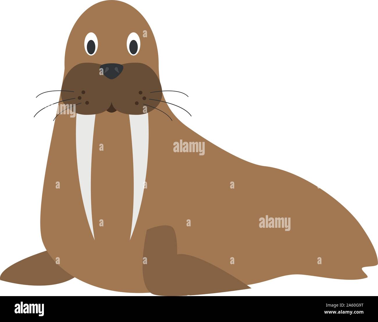 Cute cartoon walrus vector illustration Stock Vector Image & Art - Alamy