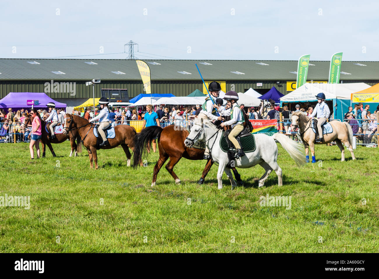 Pony games hi-res stock photography and images - Alamy