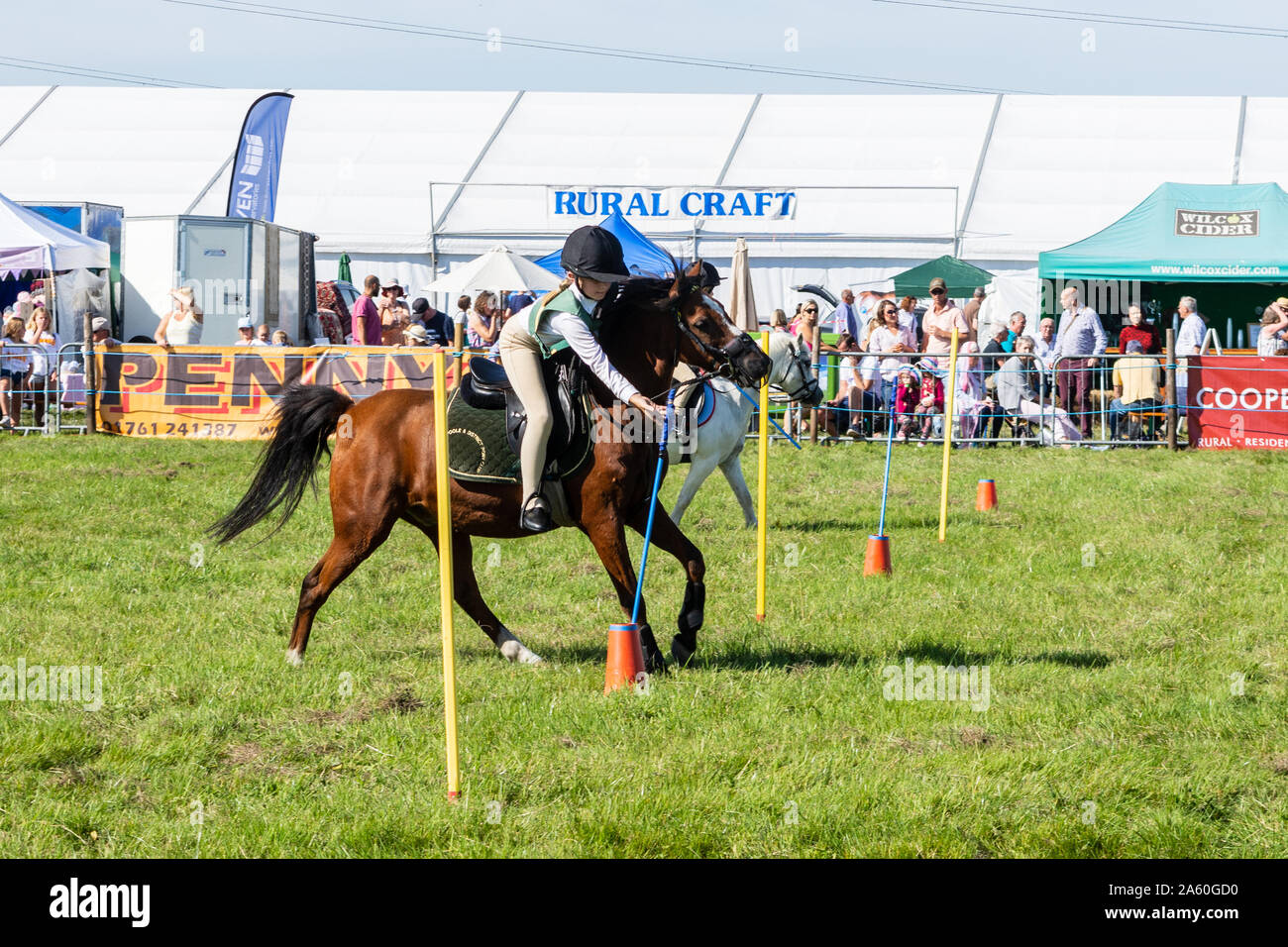 A young rider and their pony demonstrating their skills in one of the ...