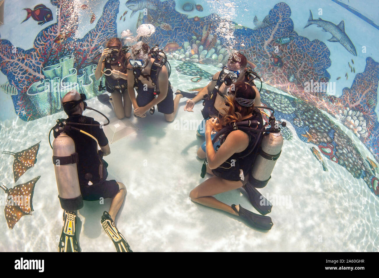 SCUBA diving instructor Anthony Manion practices skills with four ...