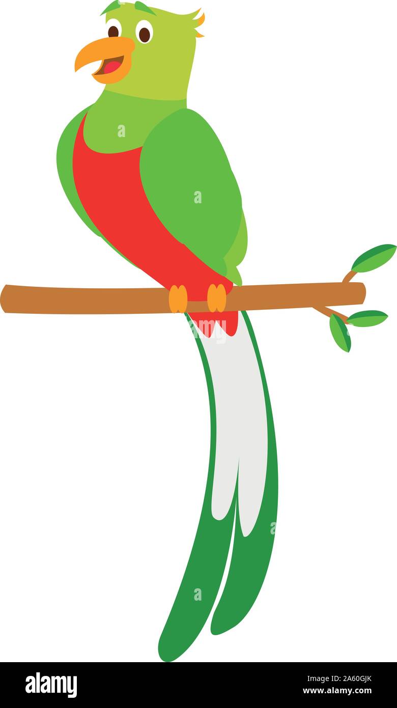Cute cartoon quetzal vector illustration Stock Vector Image & Art - Alamy