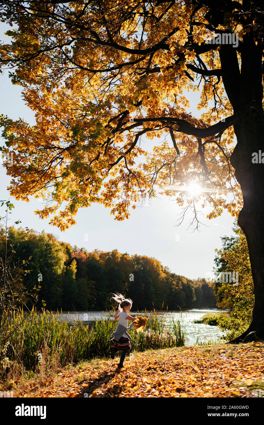 Little girl having fun at riverside in autumn Stock Photo - Alamy