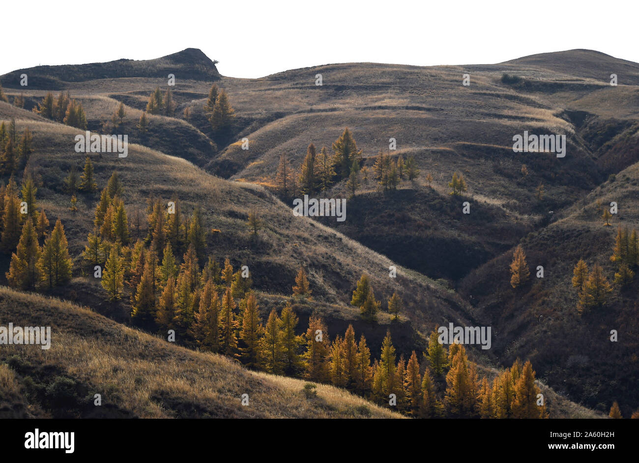 Horinger hi-res stock photography and images - Alamy