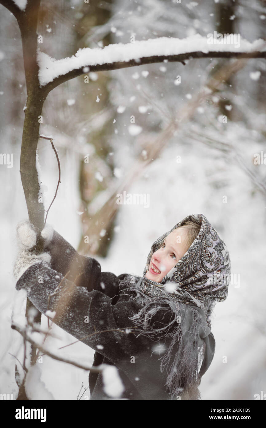 Tree shaking hi-res stock photography and images - Alamy