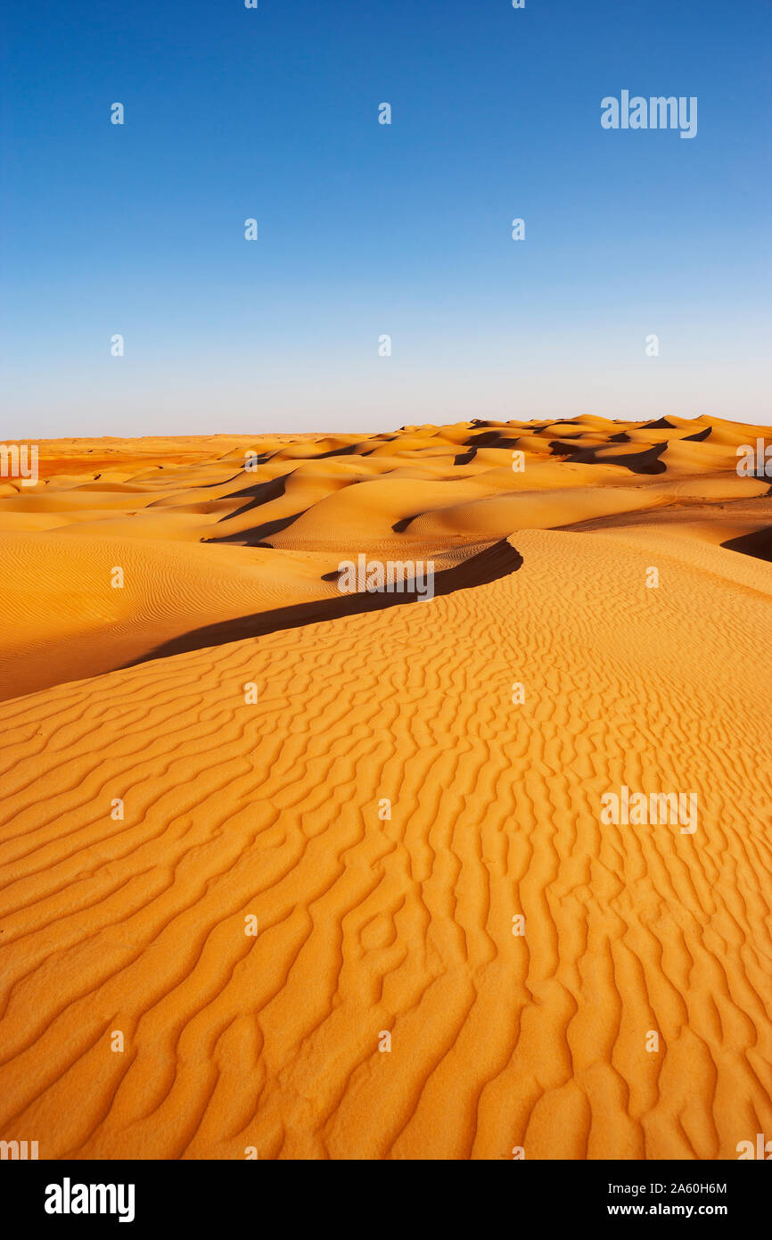 Sultanate Of Oman, Wahiba Sands, dunes in the desert Stock Photo - Alamy